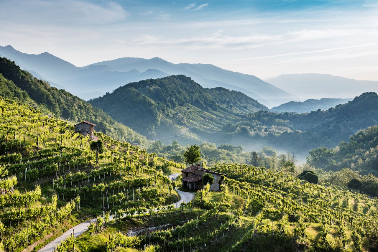 Conegliano Valdobbiadene Prosecco – the Superior choice - Western ...