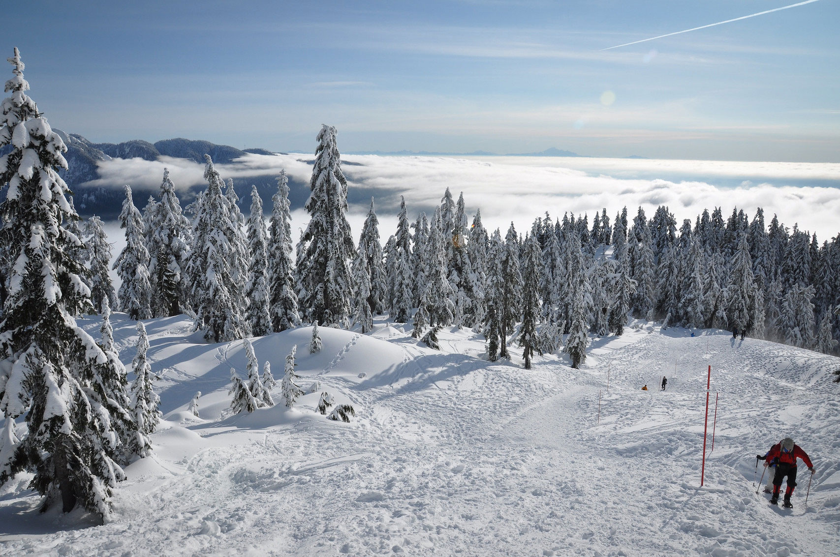 4 Easy Snowshoe Trails on Vancouver's North Shore