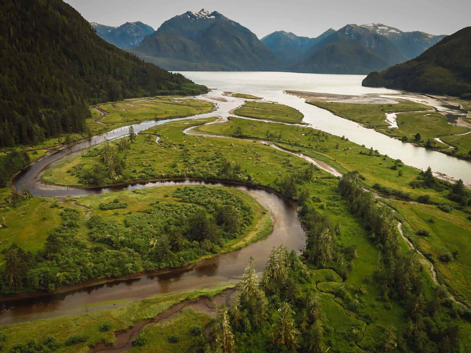 How Archaeologists Found the Oldest Footprints in North America on BC's ...
