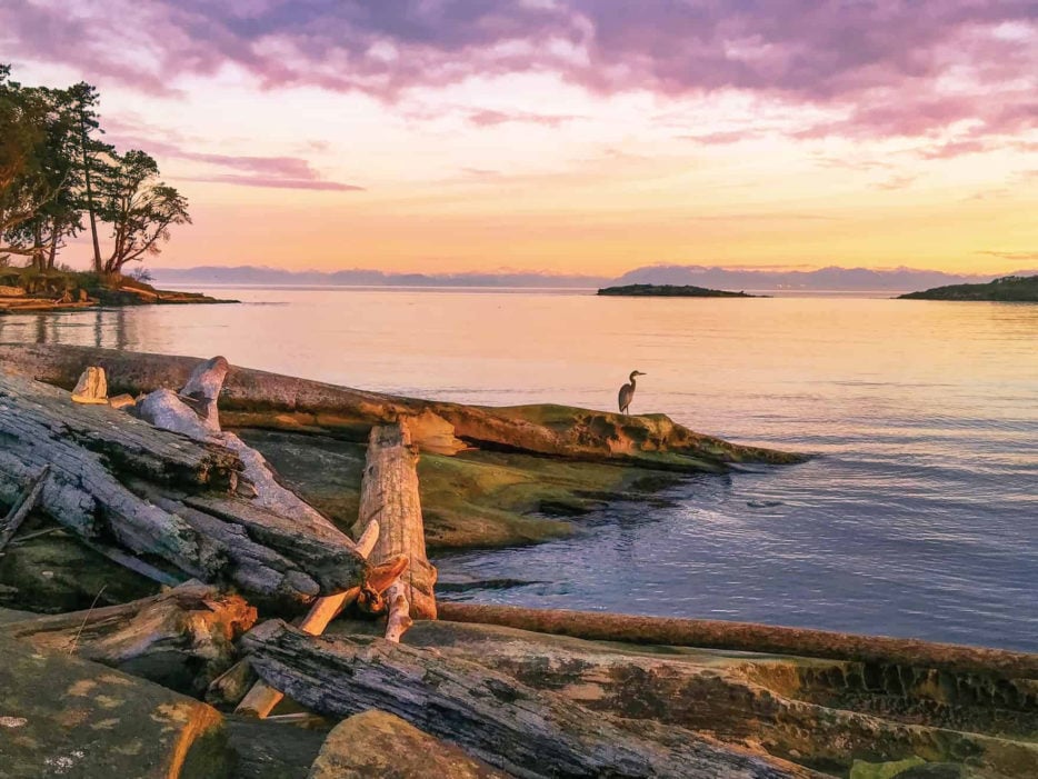 Renovation Story: A 30-Year-Old Home Gets a Timeless New Look