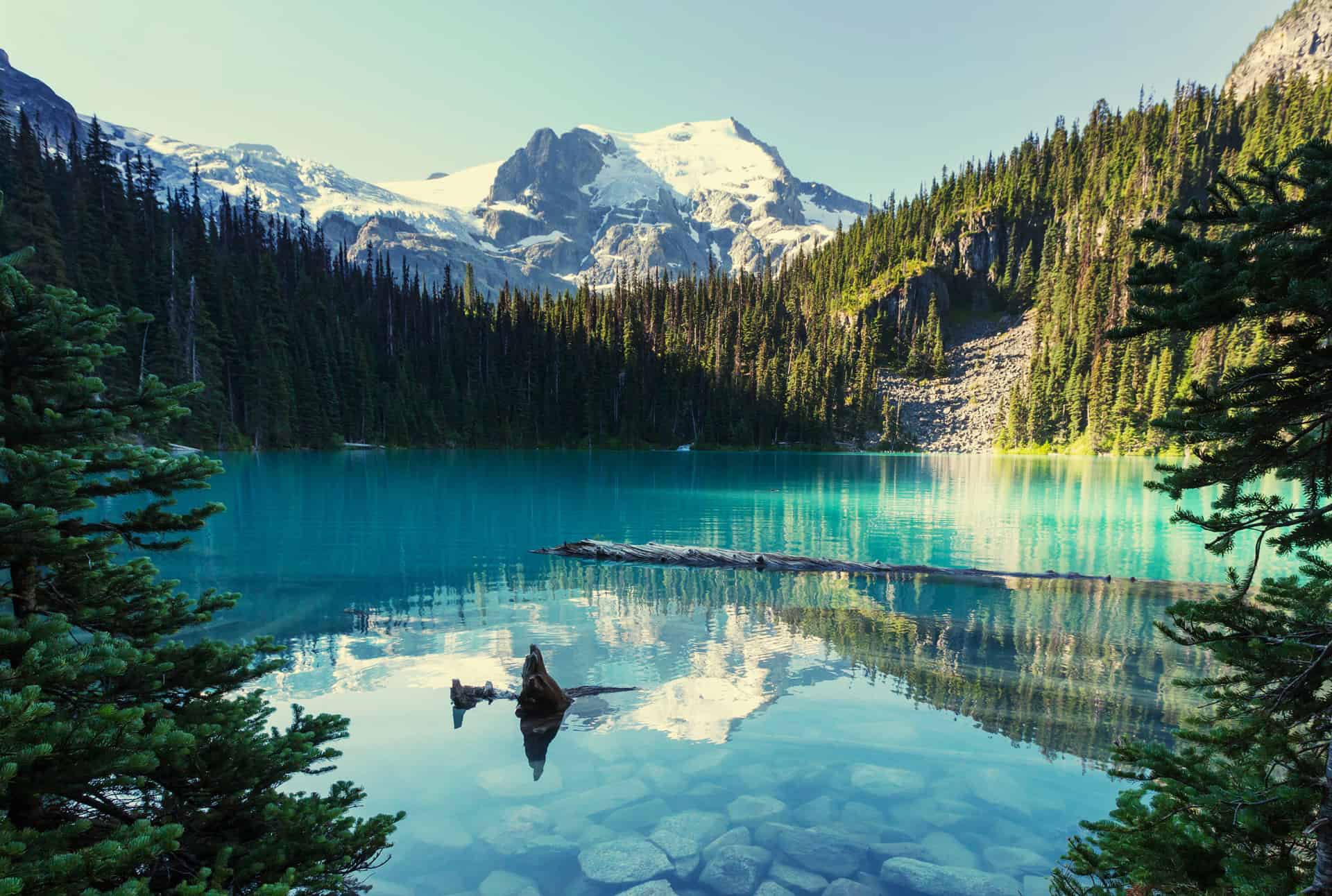 5 Whistler Trails to Explore This Spring - Western Living Magazine